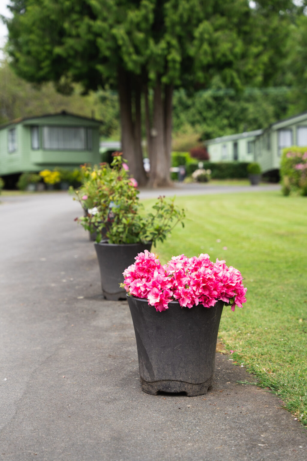 Orleton Rise Holiday Park | Ludlow Holiday Home Park