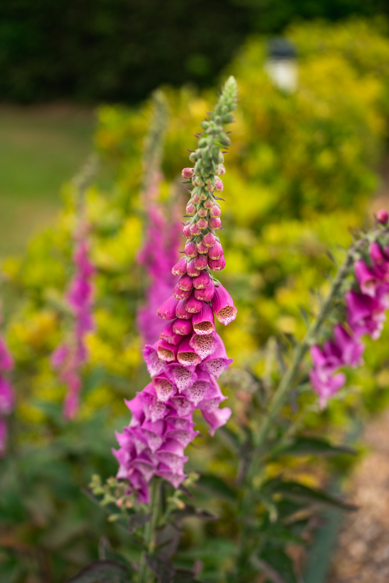 Orleton Rise Holiday Park | Ludlow Holiday Home Park