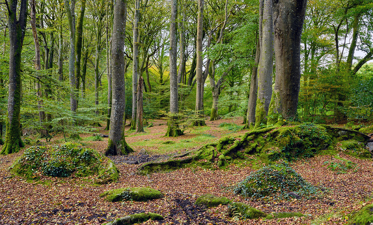 Local Area | Orleton Rise Holiday Park